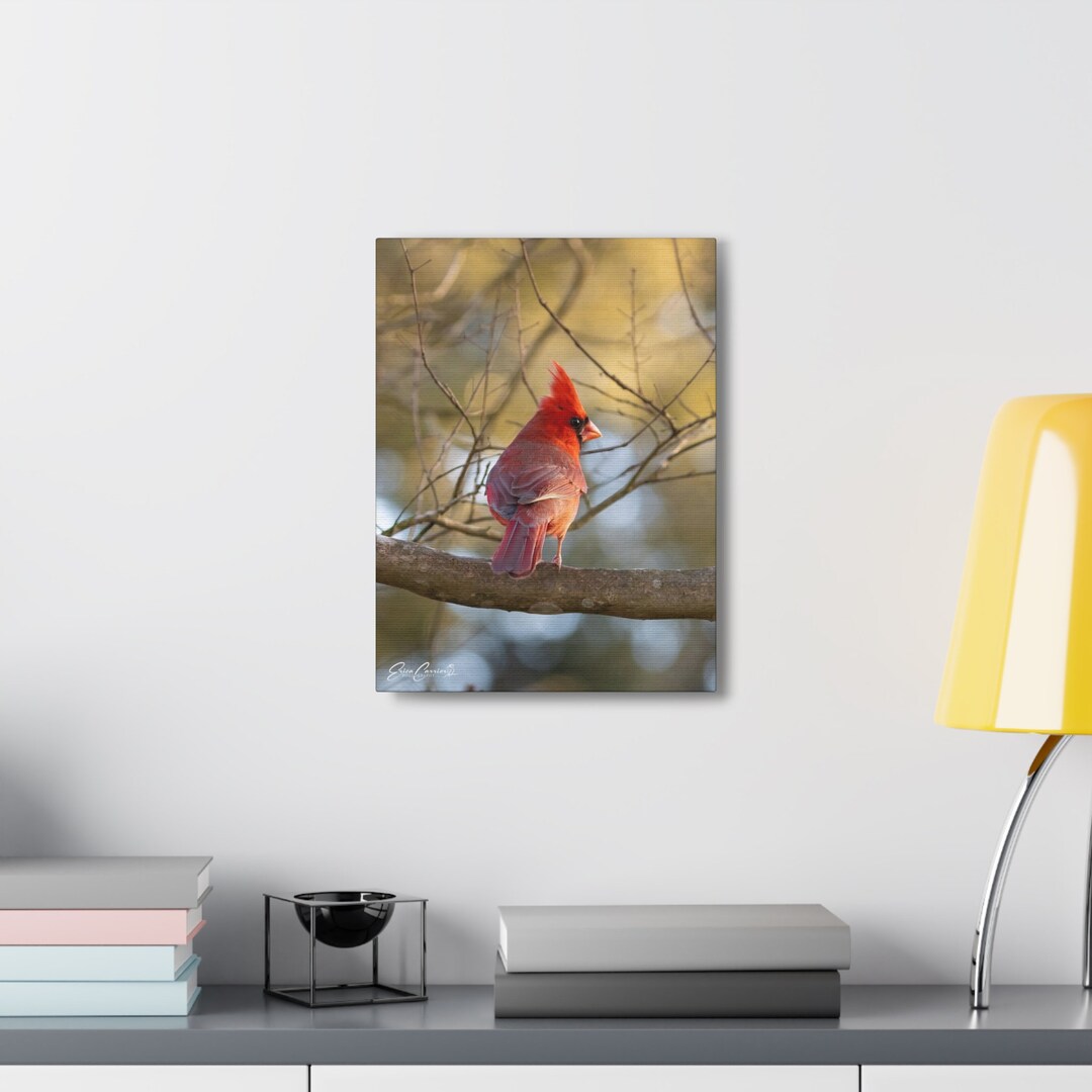 Cardinal Canvas Gallery Wraps, Cardinal Gifts, Red Bird Canvas, Red ...