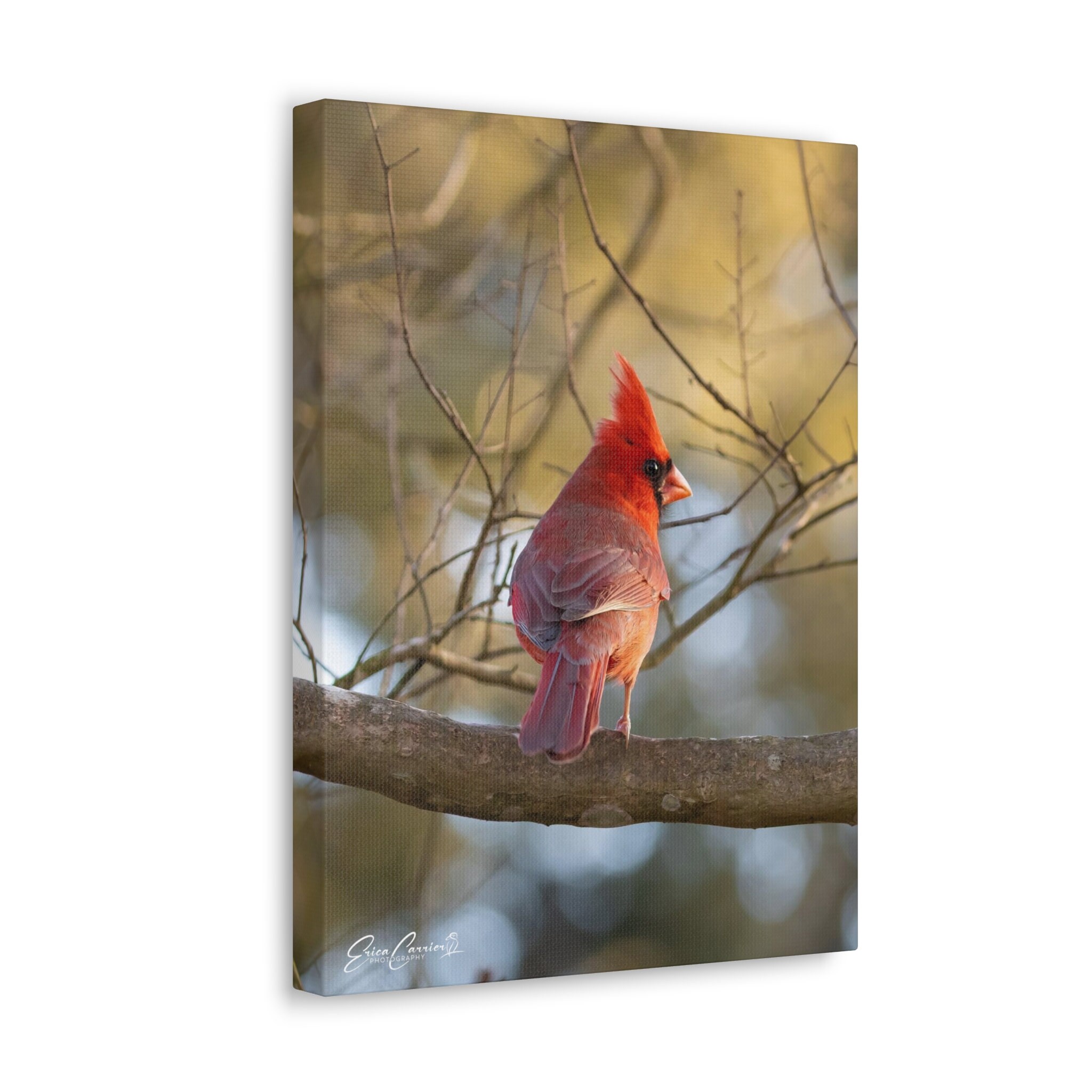 Cardinal Canvas Gallery Wraps, Cardinal Gifts, Red Bird Canvas, Red ...