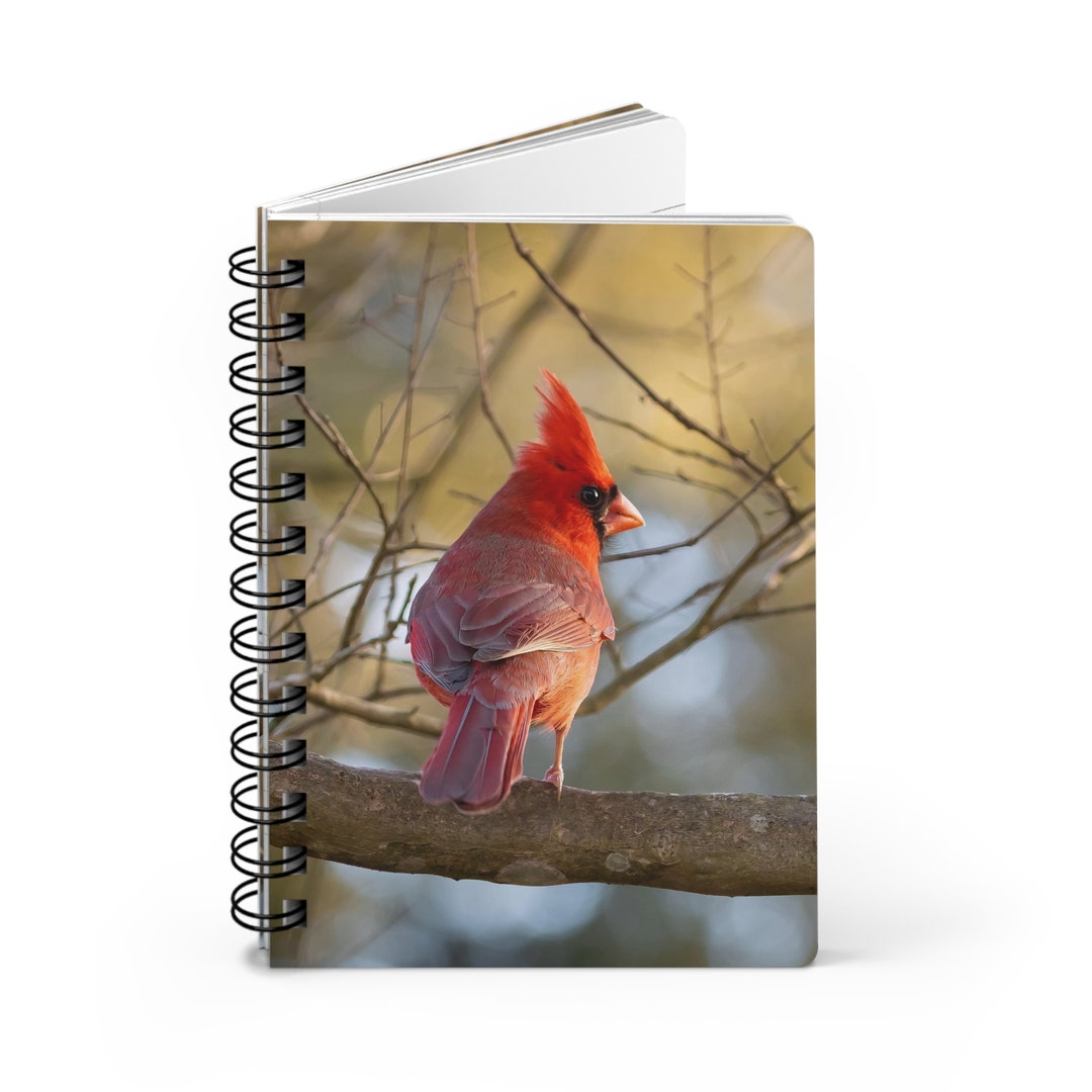 Northern Cardinal Journal, Bird Journal, Cardinal Journal, Gift for Her ...