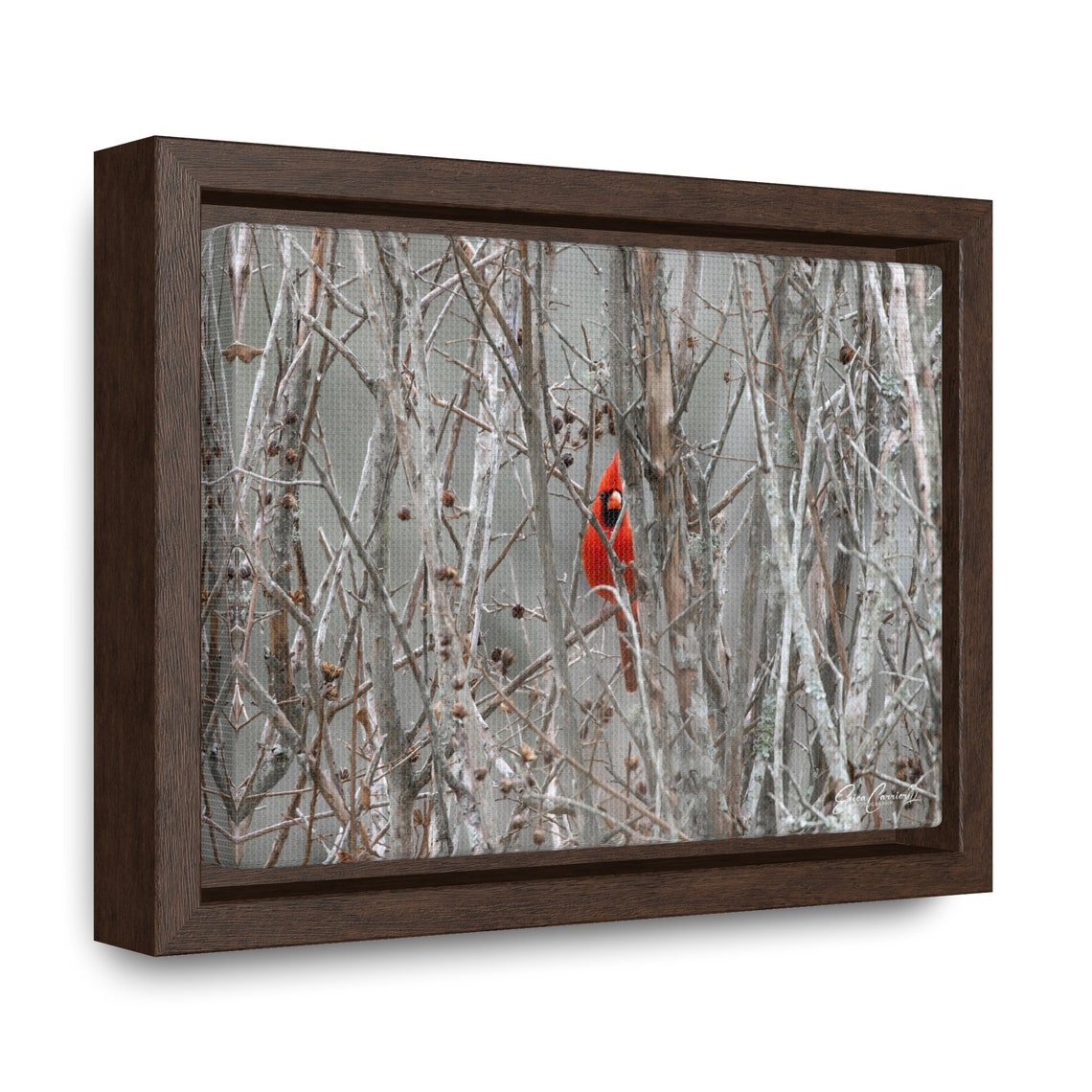 Northern Cardinal Framed Canvas, Cardinal Art, Cardinal Canvas, Gallery ...