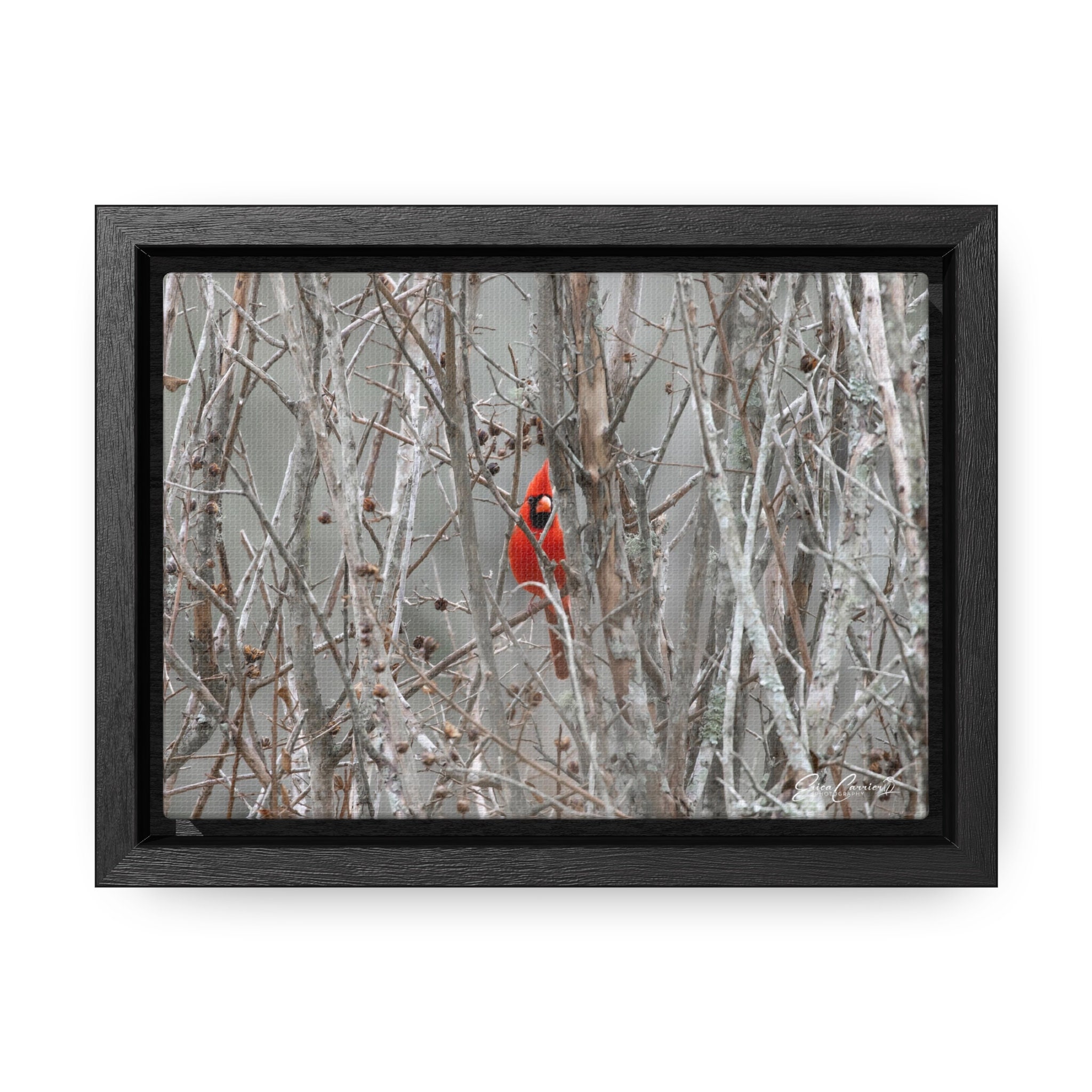 Northern Cardinal Framed Canvas, Cardinal Art, Cardinal Canvas, Gallery ...