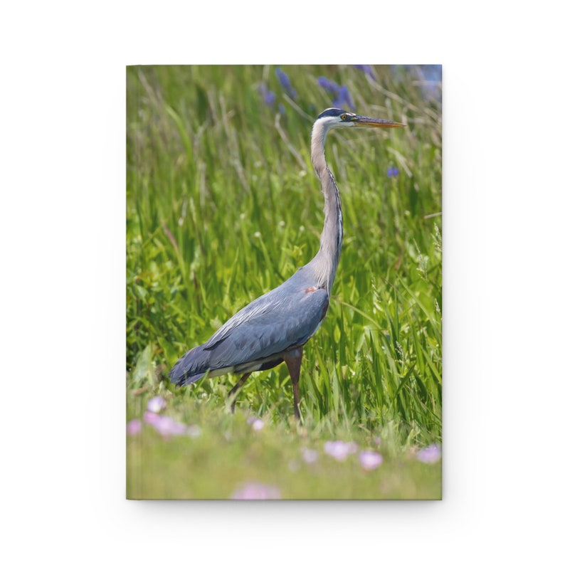 Bird Journal, Great Blue Heron Journal, Heron Journal, Great Blue Heron ...