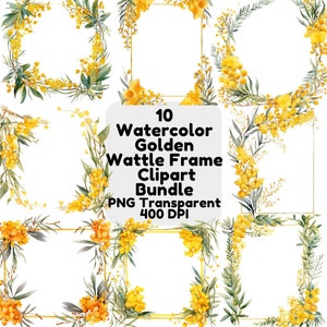 Golden Wattle Clipart Frame Clipart Flower Invitation Frames Digital ...