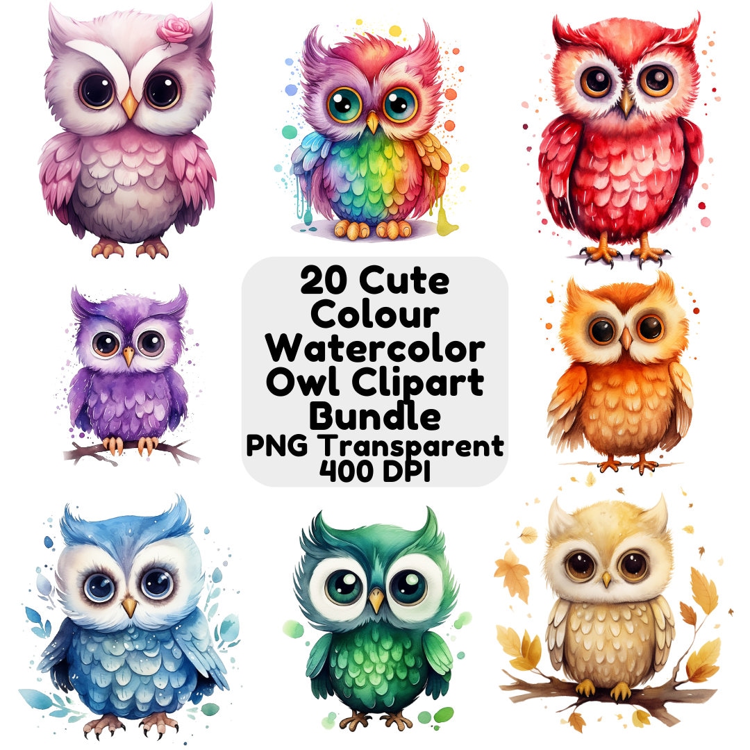 Watercolor Colorful Cute Owl Clipart Clipart Bundle Cute Owl Png Bundle ...