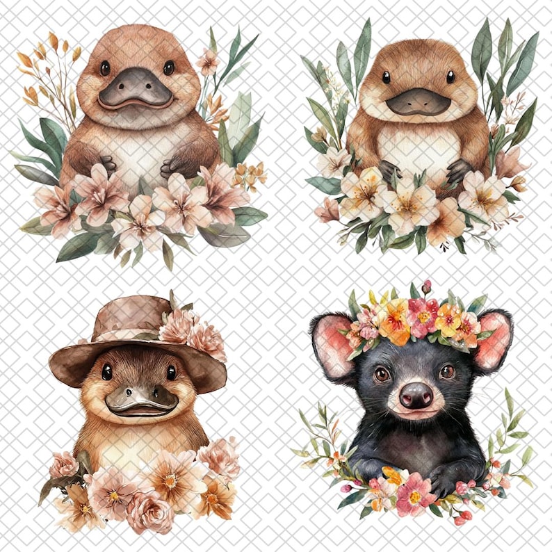 Watercolour Australian Animals Clipart, Flowers, Koala, Kangaroo ...