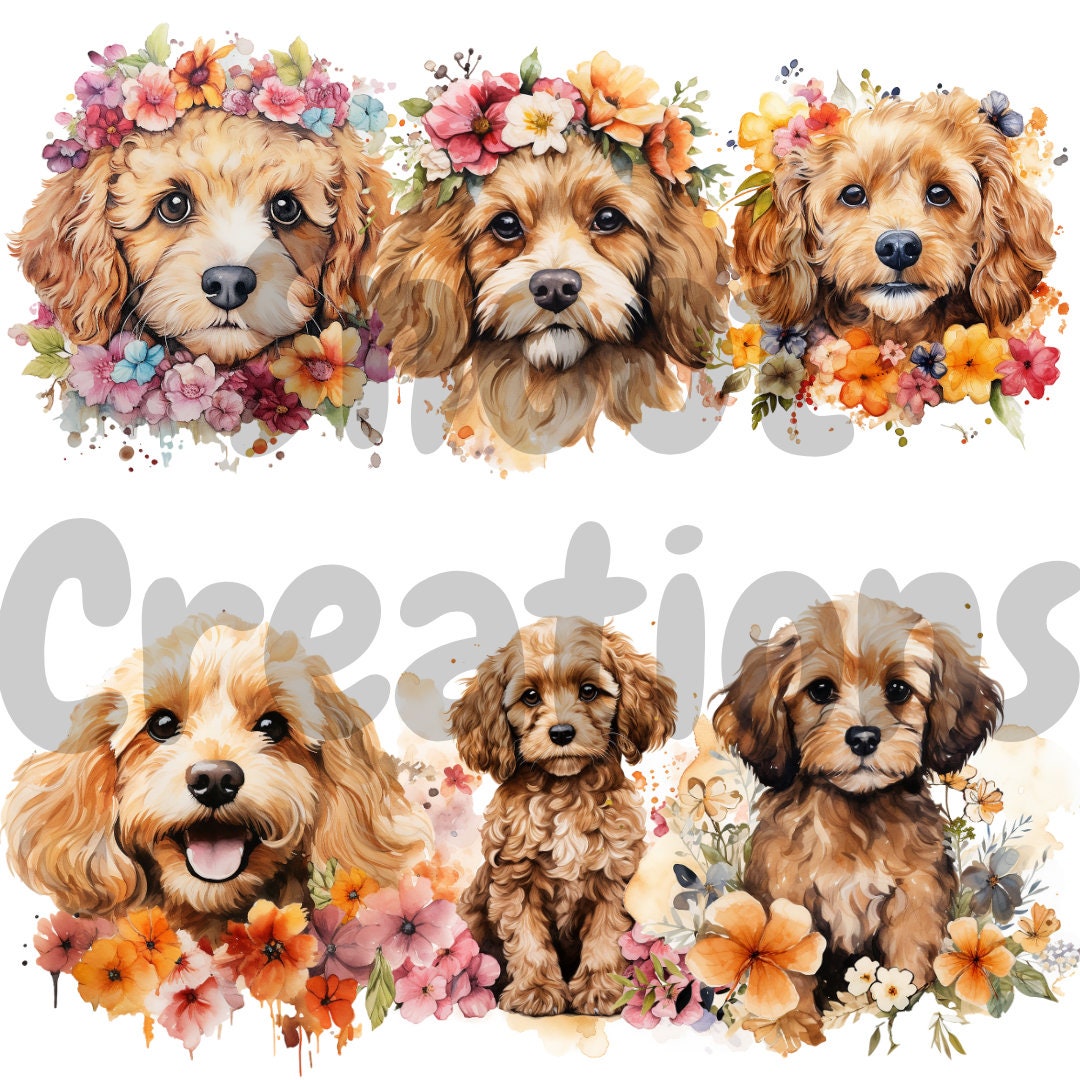 Watercolor Cavoodle With Flowers Clipart Cavapoo Dog PNG Transparent ...