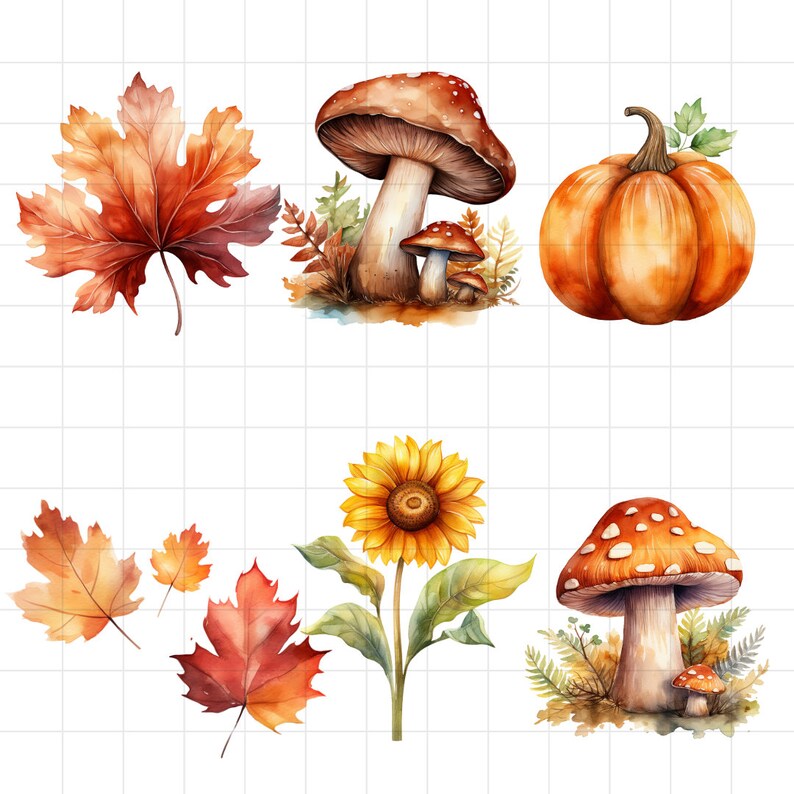 Cute Watercolor Autumn Animals Clipart Woodland Animal Clipart - Etsy