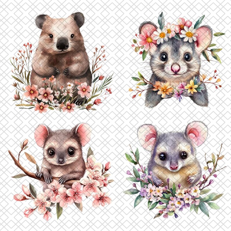 Watercolour Australian Animals Clipart, Flowers, Koala, Kangaroo ...