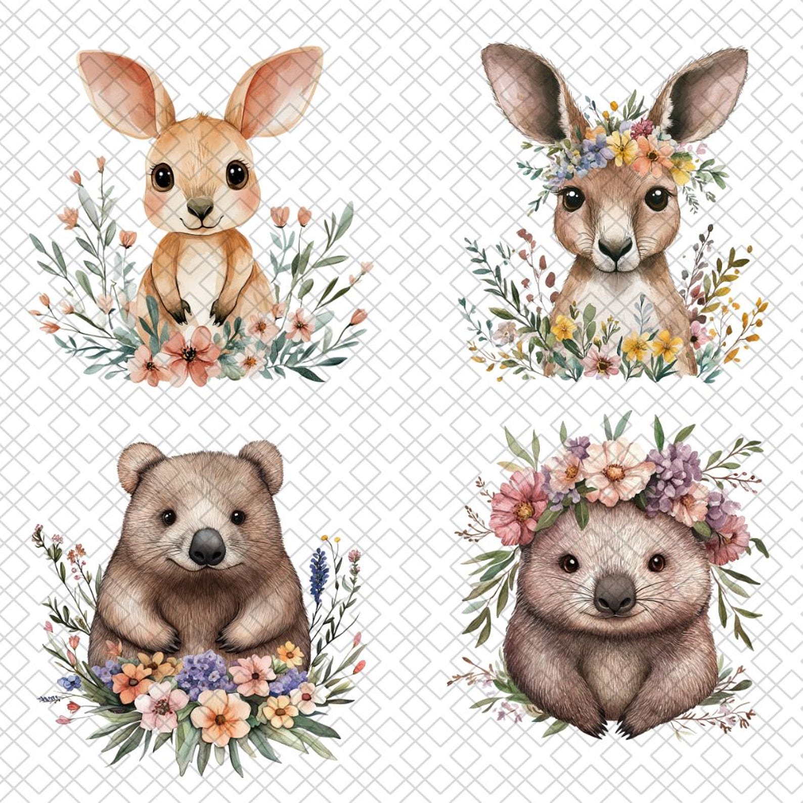 Watercolour Australian Animals Clipart, Flowers, Koala, Kangaroo ...