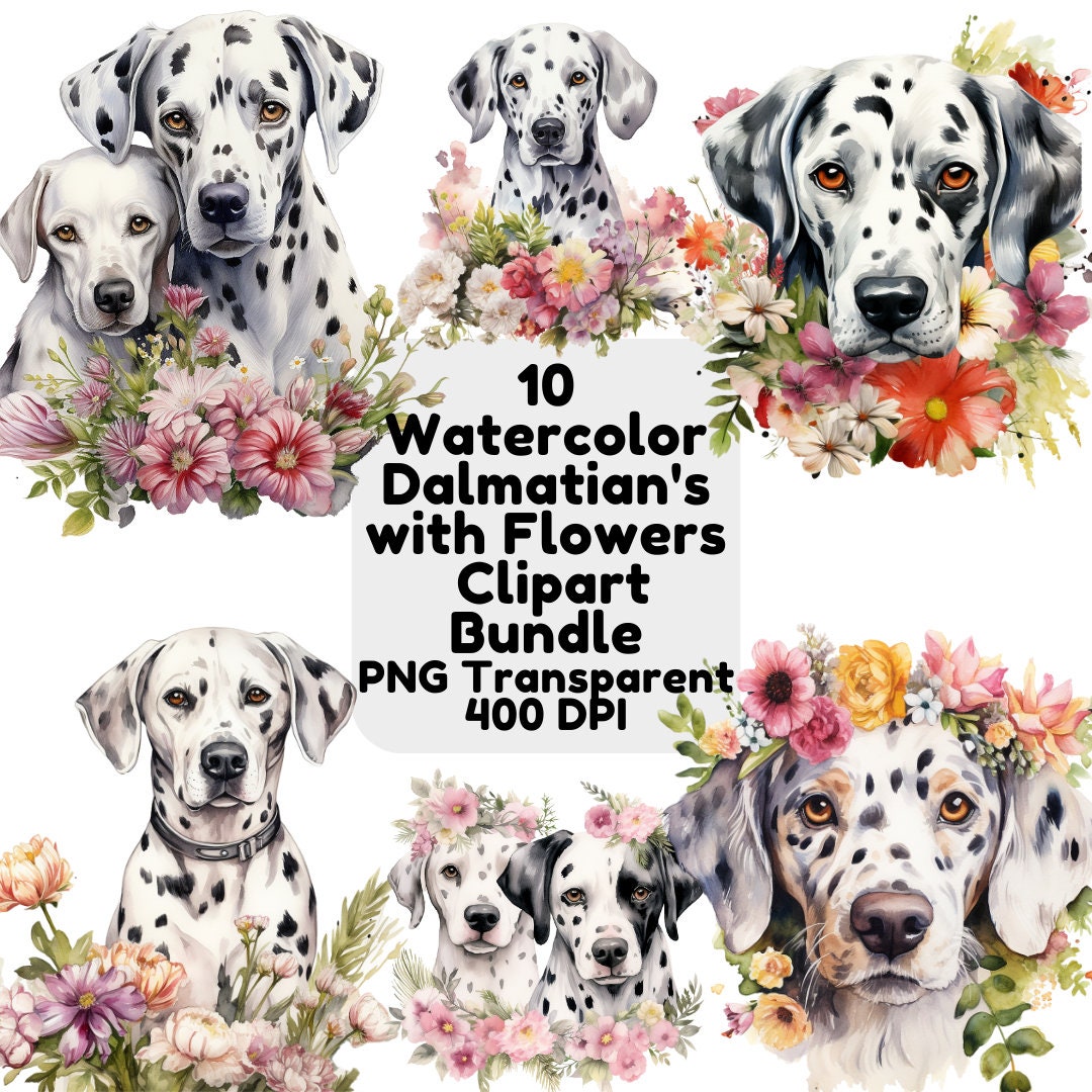 Watercolor Dalmatian With Flowers Clipart Dog PNG Transparent ...