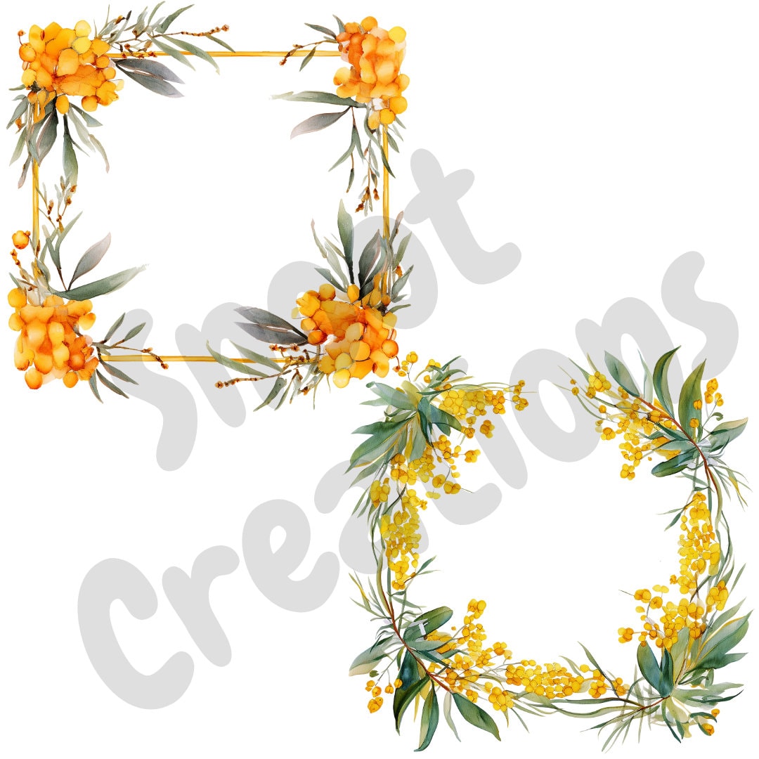 Golden Wattle Clipart Frame Clipart Flower Invitation Frames Digital ...