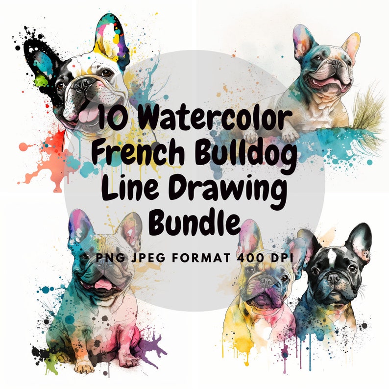 French Bulldog Watercolor Line Drawing Clipart PNG JPEG Commercial and ...
