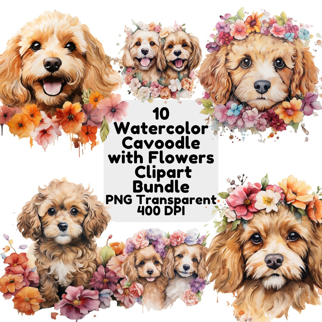 Watercolor Cavoodle With Flowers Clipart Cavapoo Dog PNG Transparent ...