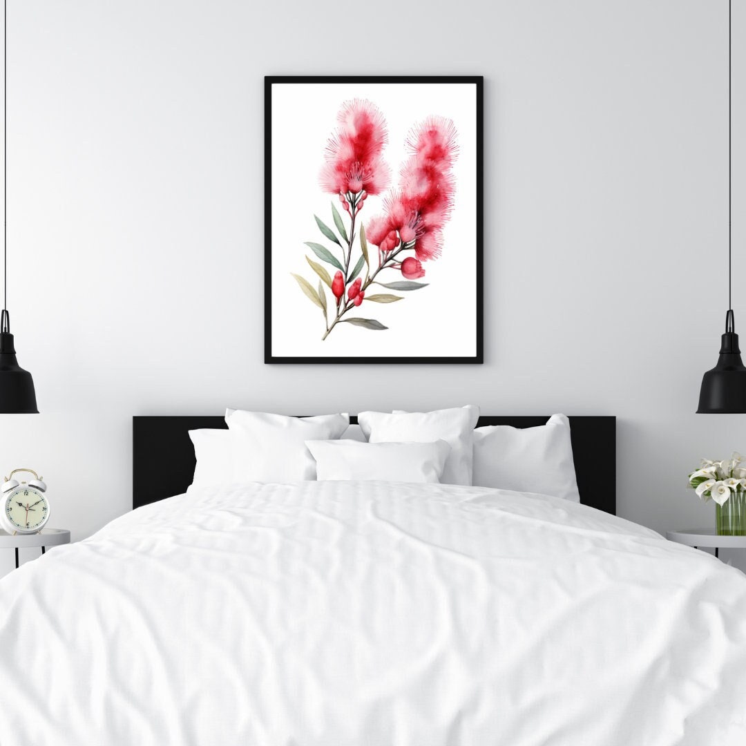 Watercolor Bottlebrush Australian Native Flowers Pink Red Callistemon ...