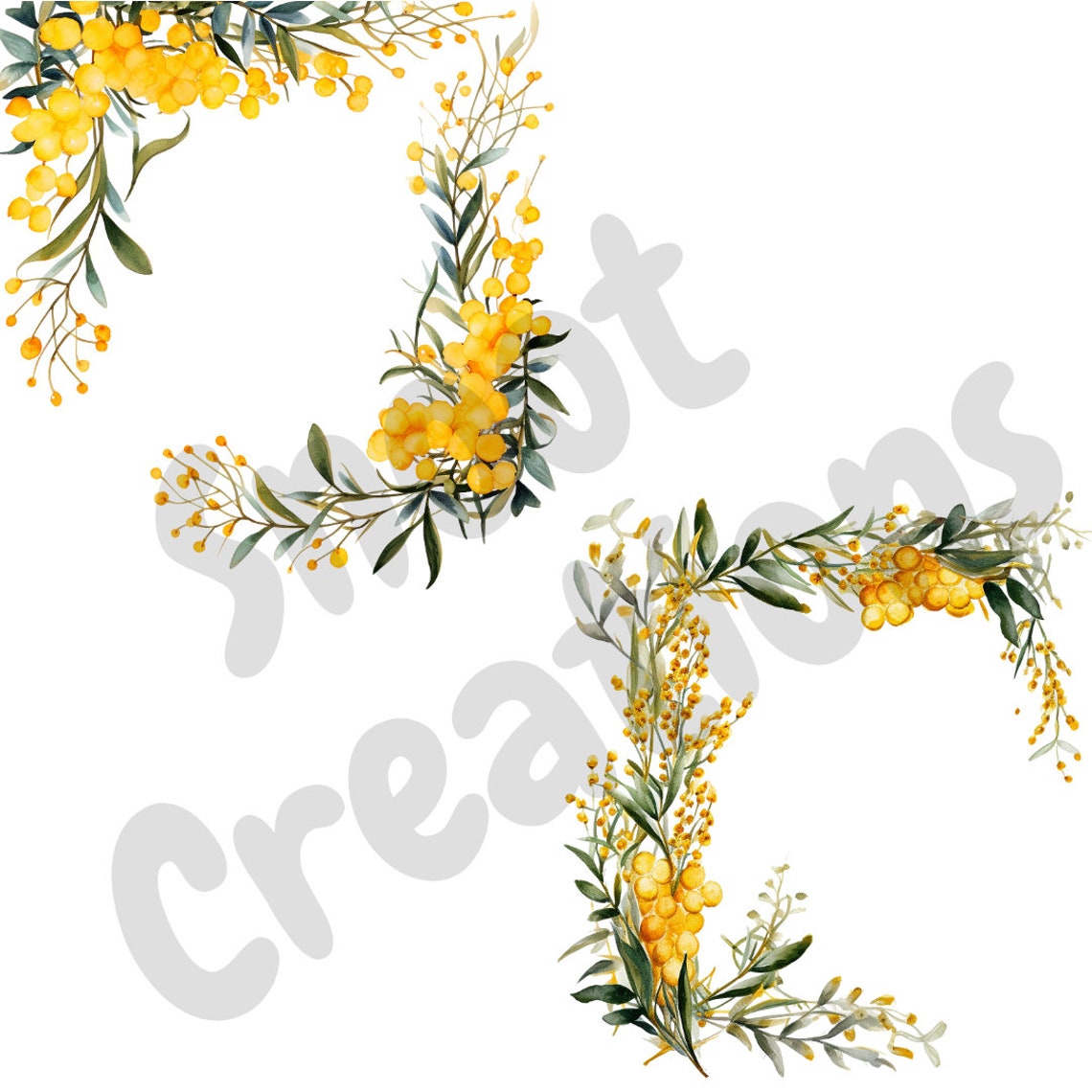 Golden Wattle Clipart Frame Clipart Flower Invitation Frames Digital ...