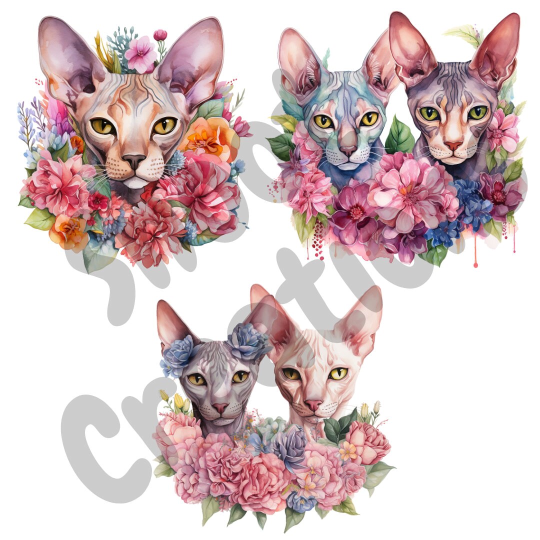 Watercolor Sphynx Cat With Flowers Clipart Cat PNG Transparent ...