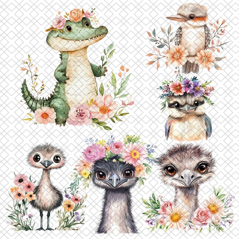 Watercolour Australian Animals Clipart, Flowers, Koala, Kangaroo ...