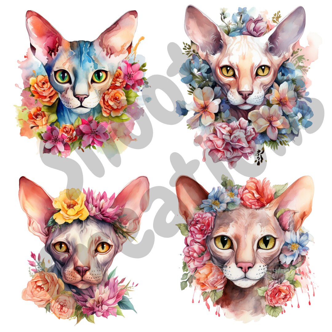 Watercolor Sphynx Cat With Flowers Clipart Cat PNG Transparent ...
