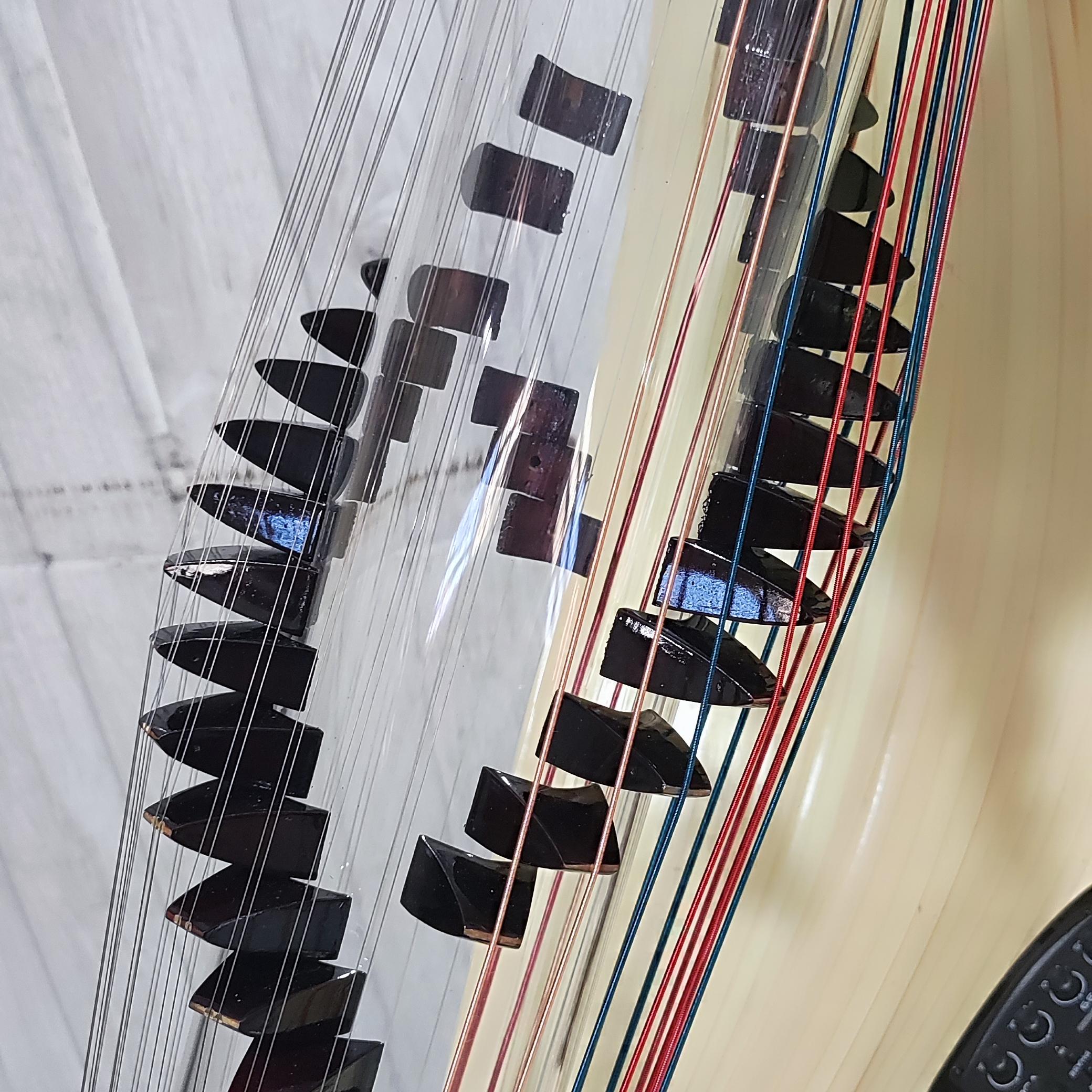 Electric Transparent Tube Harp, Sasando Indonesian Ethnic Instrument - Etsy