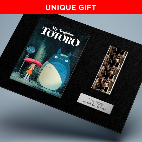 My Neighbor Totoro - Etsy Australia