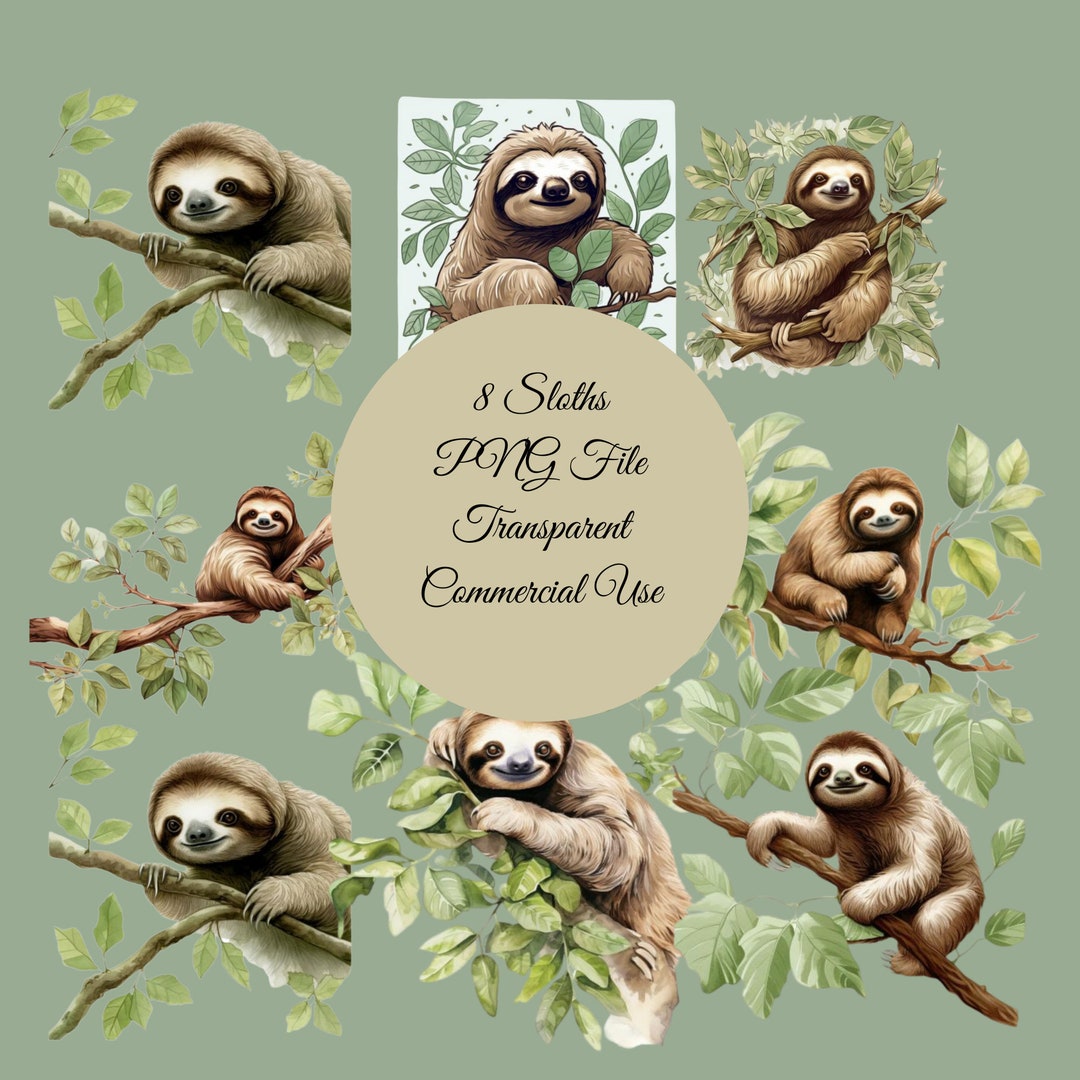 Sloth Clip Art Clipart Pack, Clipart for Commercial Use, Sloth on ...