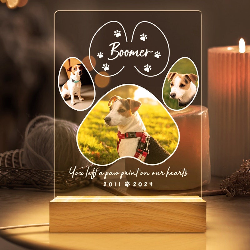 Pet Memorabilia Frame - Etsy UK