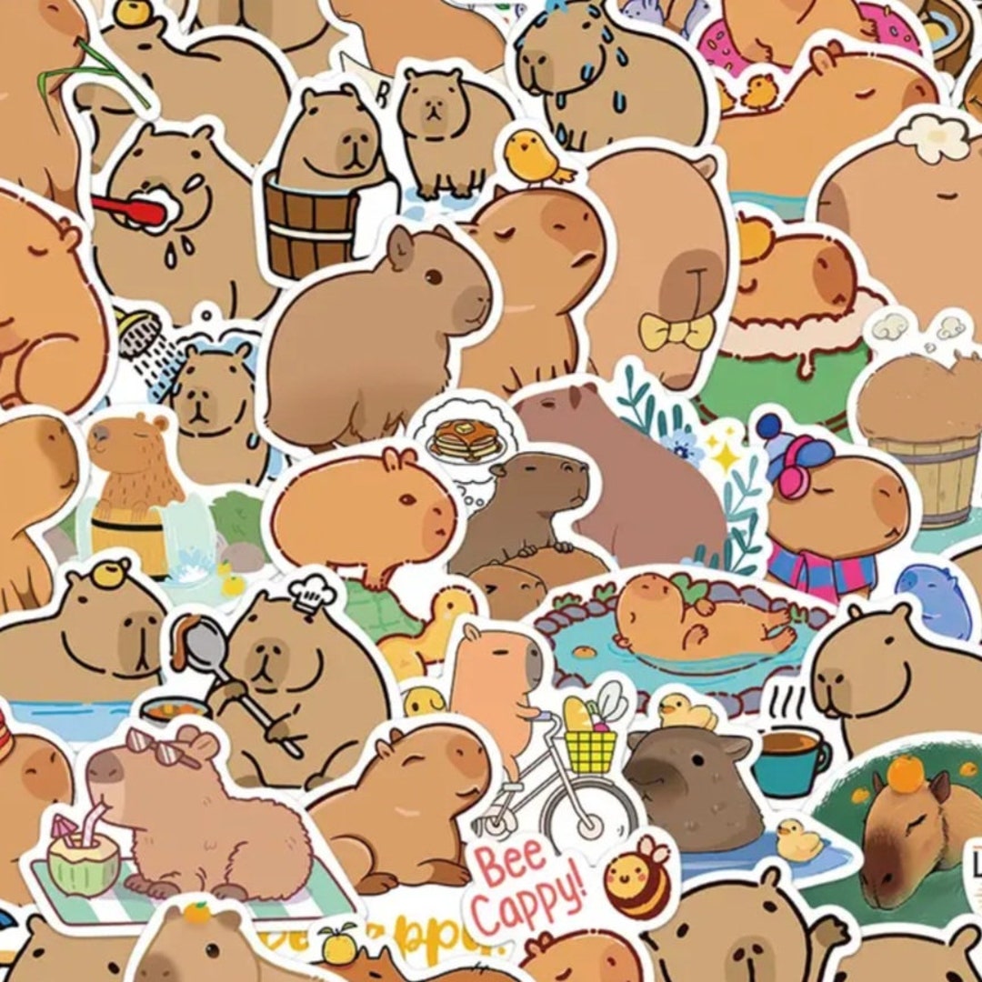 Capybara Sticker Set of 10 - Etsy