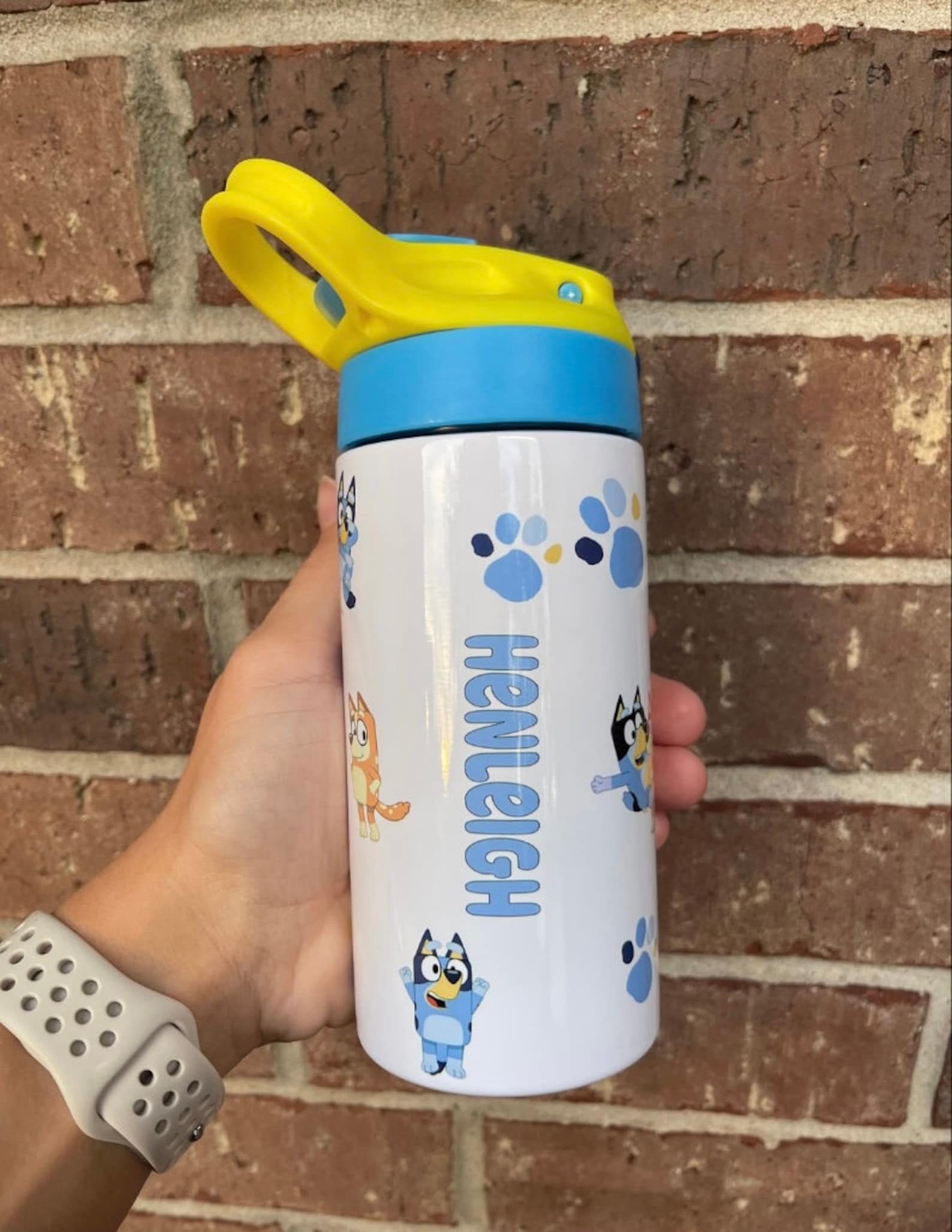 Bluey Kids Water Bottle L Bluey Water Bottle L Bluey Tumbler L Bluey ...