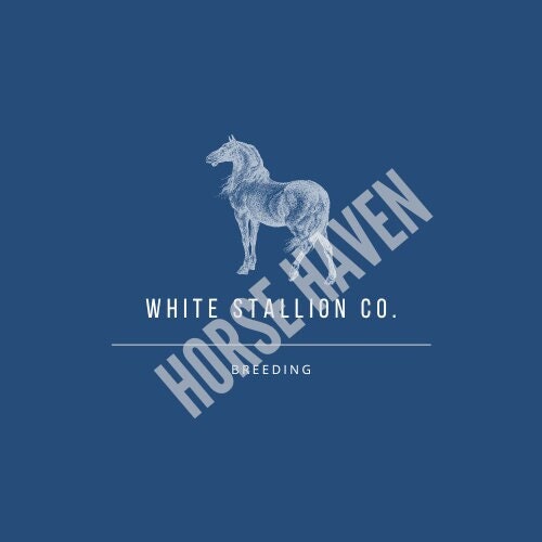 Premade Equestrian Logo for Equine Business. Custom Horse Logo ...