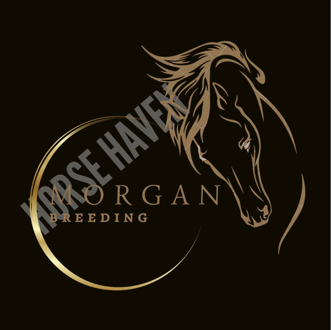 Horse Logo Canva, Horse Business Logo Canva, Equestrian Logo Design - Etsy