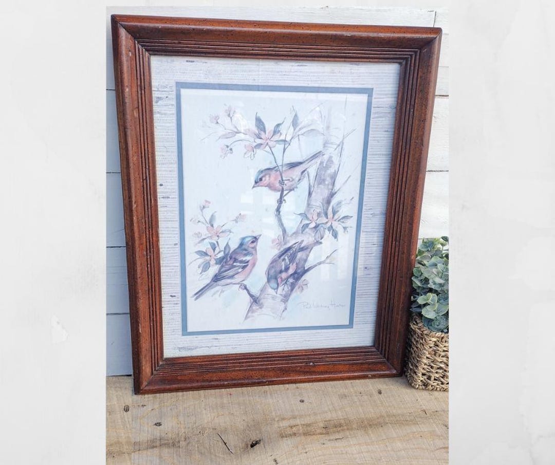 Vintage Paul Whitney Hunter Framed Bird Print: Wood Frame (13.5" X 16.5 ...