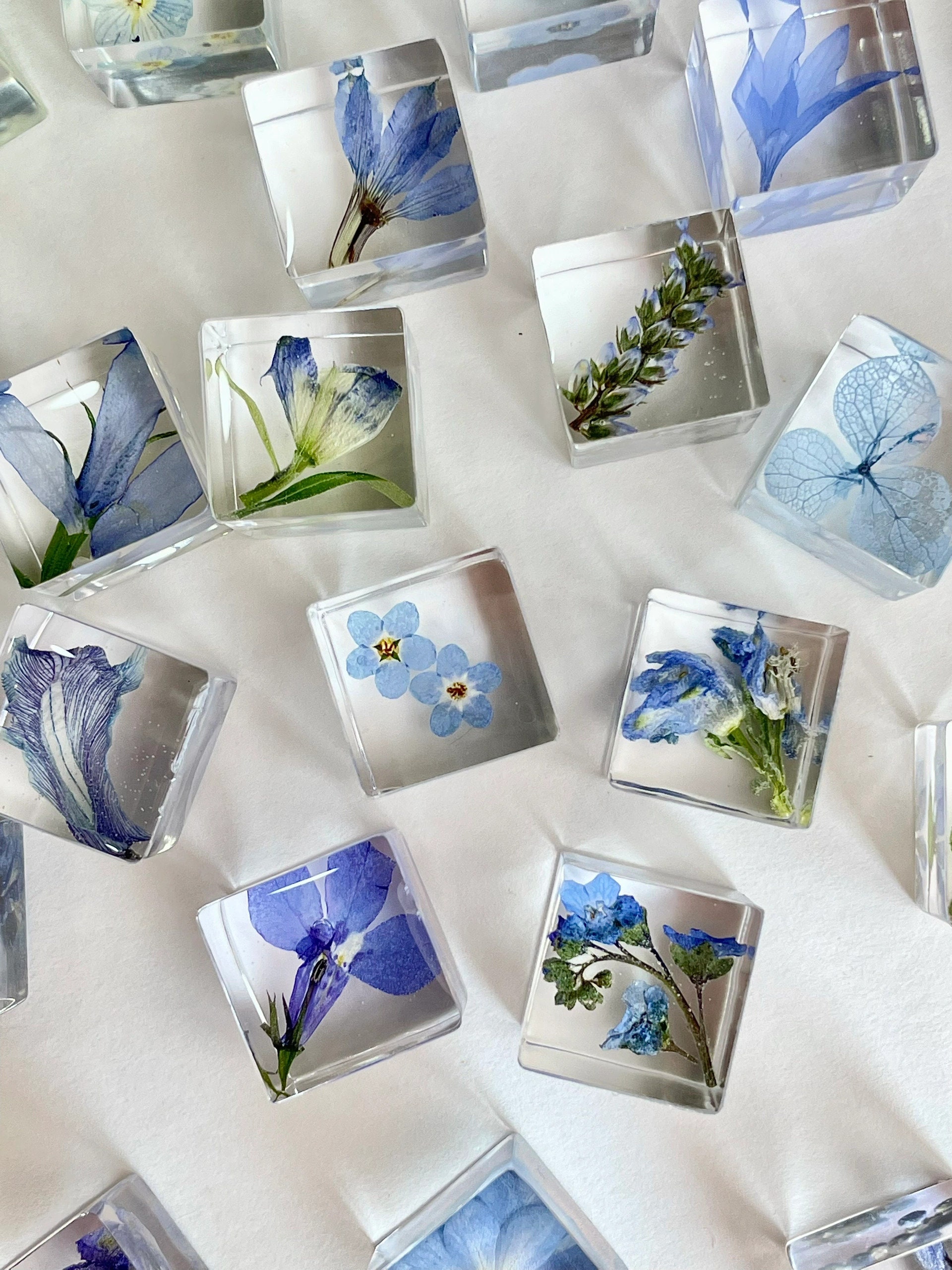 Plant Specimens, Handmade Specimens, Custom Gifts - Etsy