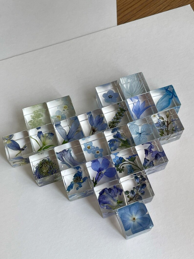 Plant Specimens, Handmade Specimens, Custom Gifts - Etsy