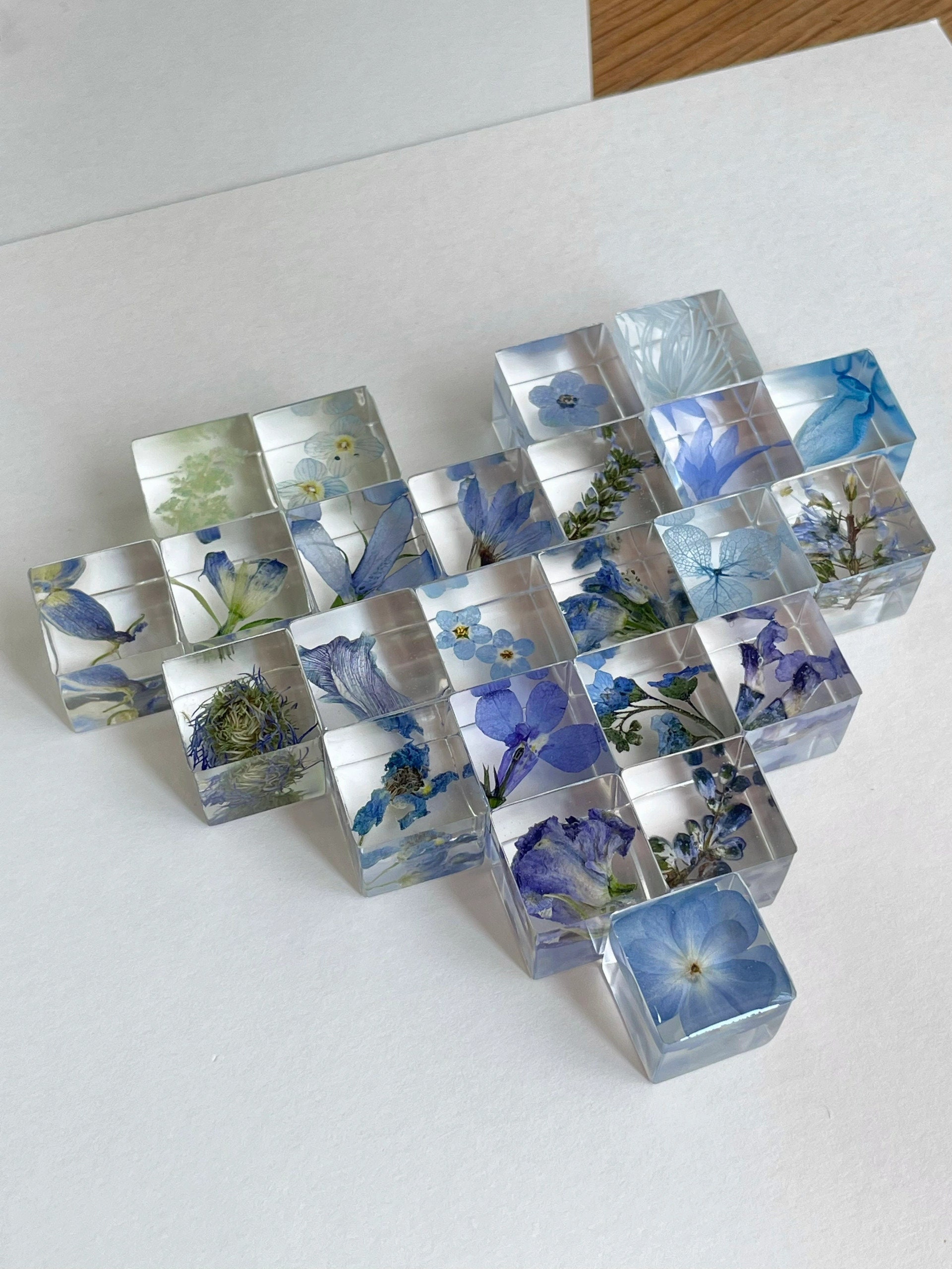 Plant Specimens, Handmade Specimens, Custom Gifts - Etsy