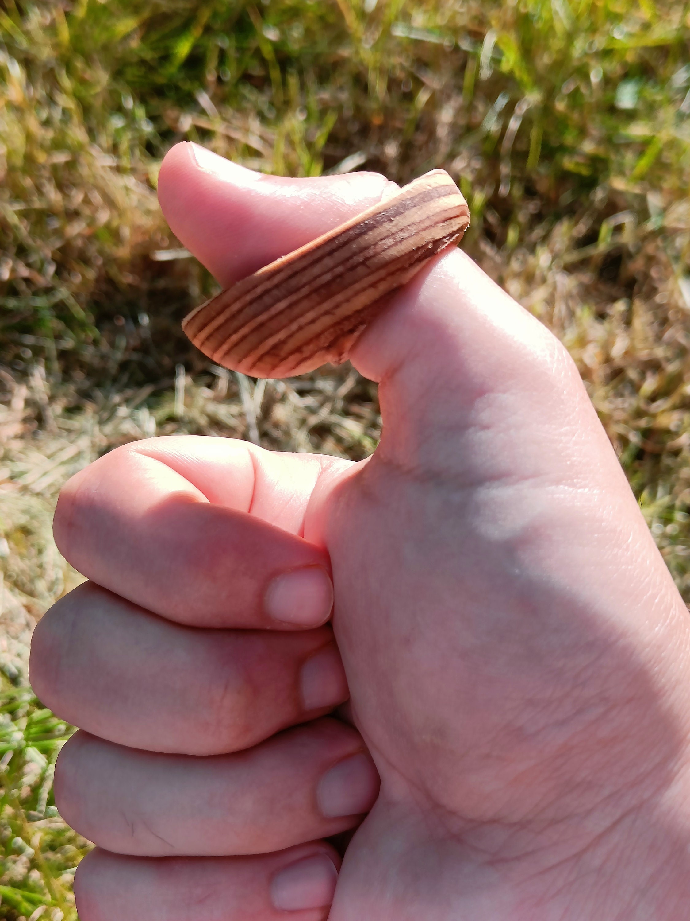 Wooden Thumb Ring Archery Thumb Ring Marin Wood Thumb Ring Archery ...