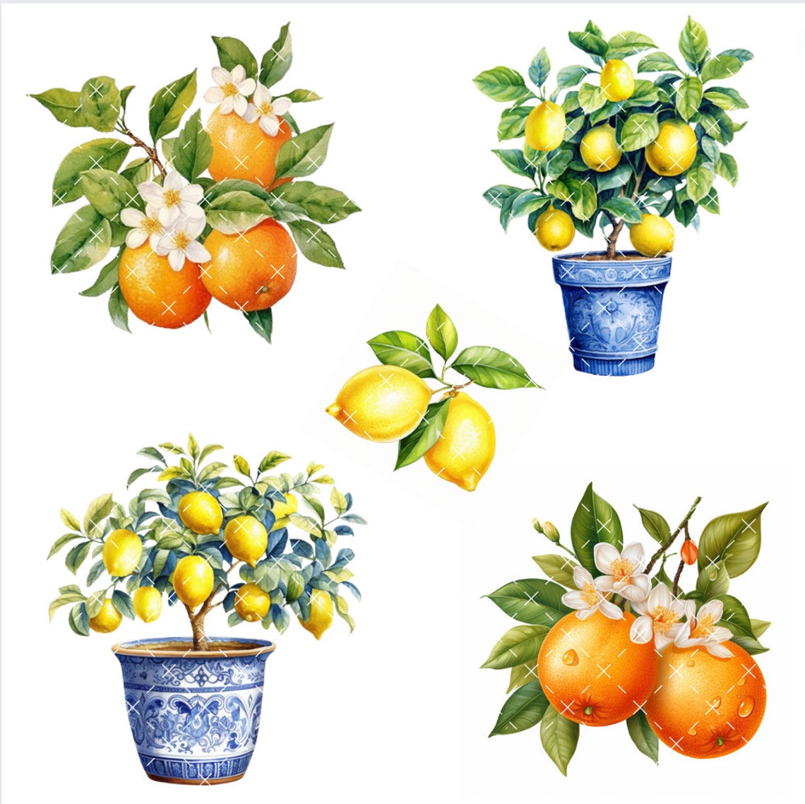 Mediterranean Tile, Watercolor Lemons Clipart Bundle, Portuguese ...