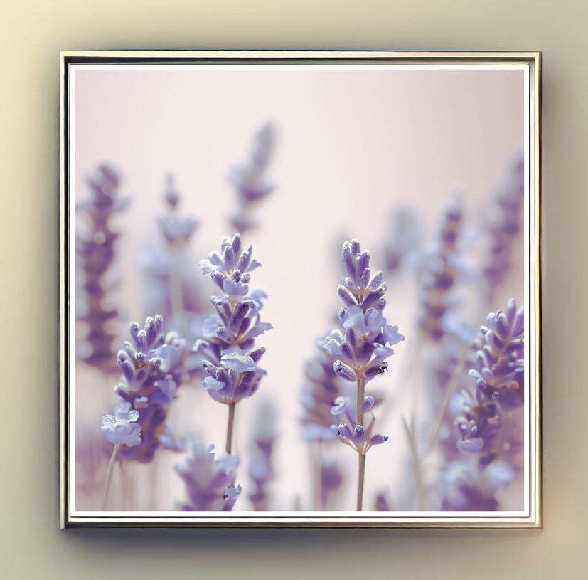 Printable Lavender Flowers Digital Wall Art 20 - Etsy