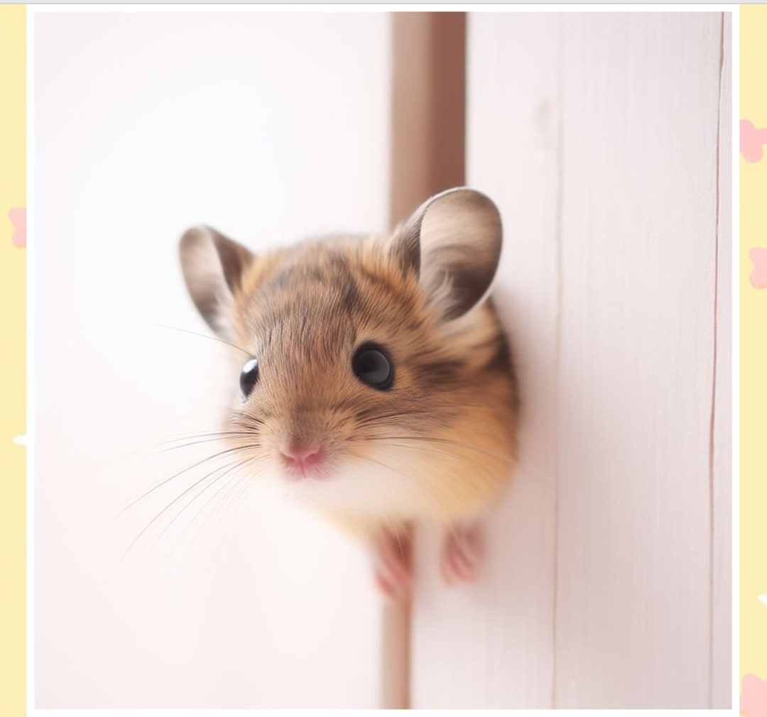 Pika Masterpieces: Pika Wall Arts for Living Room Décor Cute Art ...