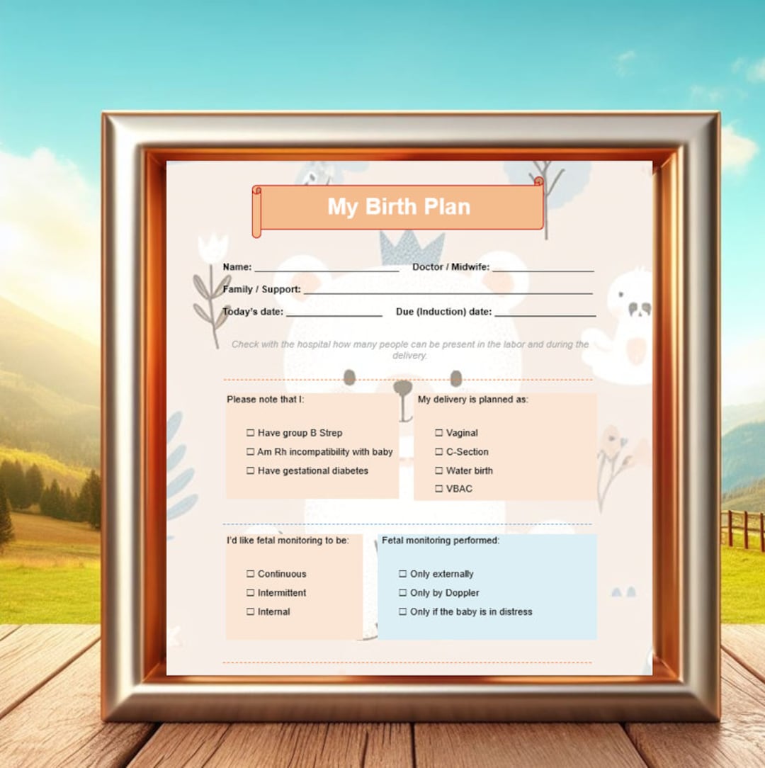 Birth Plan Template, Editable Word Template, Printable PDF Birth Plan ...