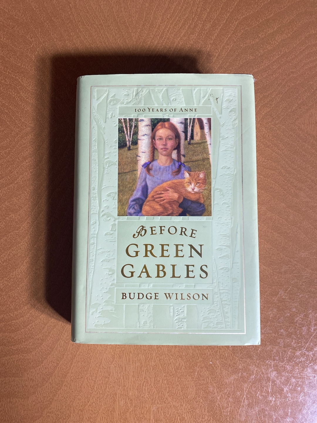 Before Green Gables by Budge Wilson First Cloth Hardcover Edition W ...