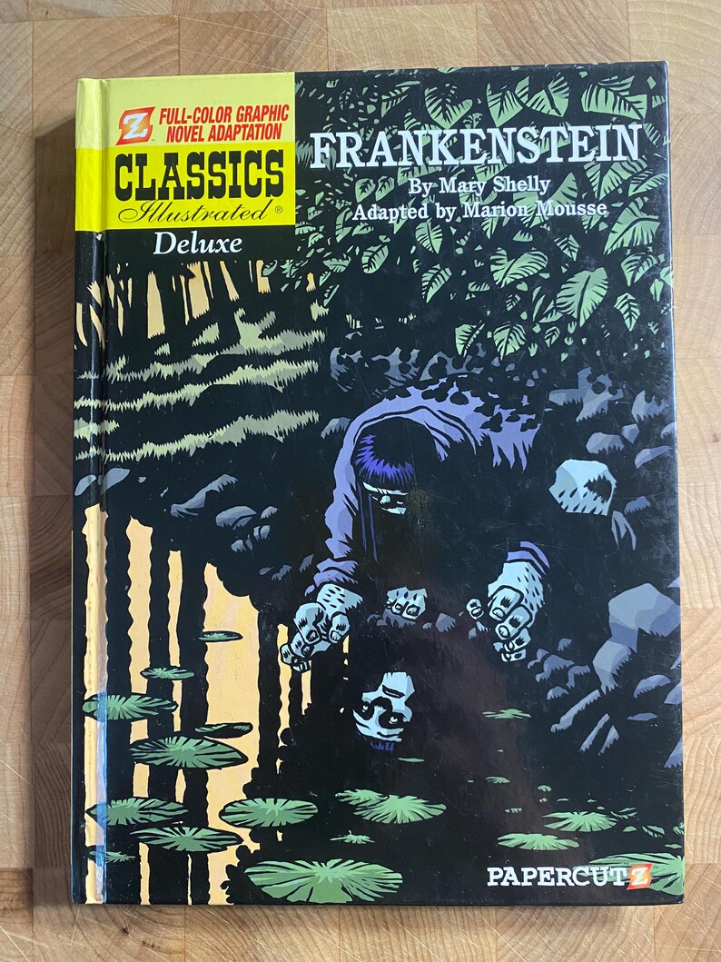 Frankenstein by Mary Shelly Adapted by Marion Mousse Hardcover Graphic ...