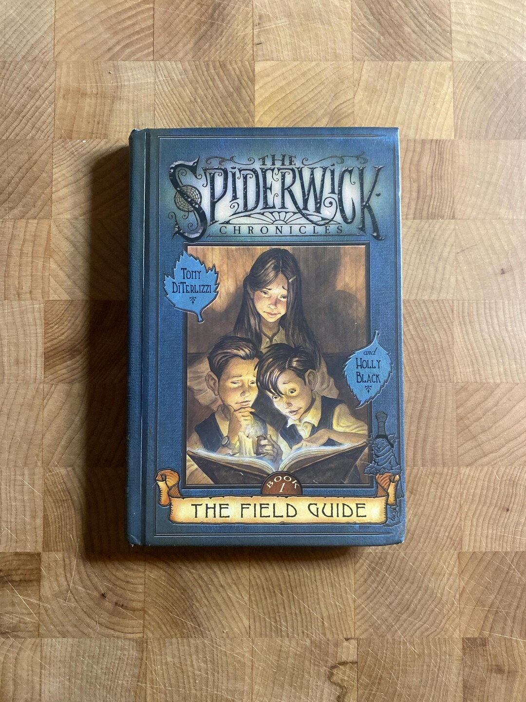 The Spiderwick Chronicles Book 1 the Field Guide Hardcover Edition - Etsy
