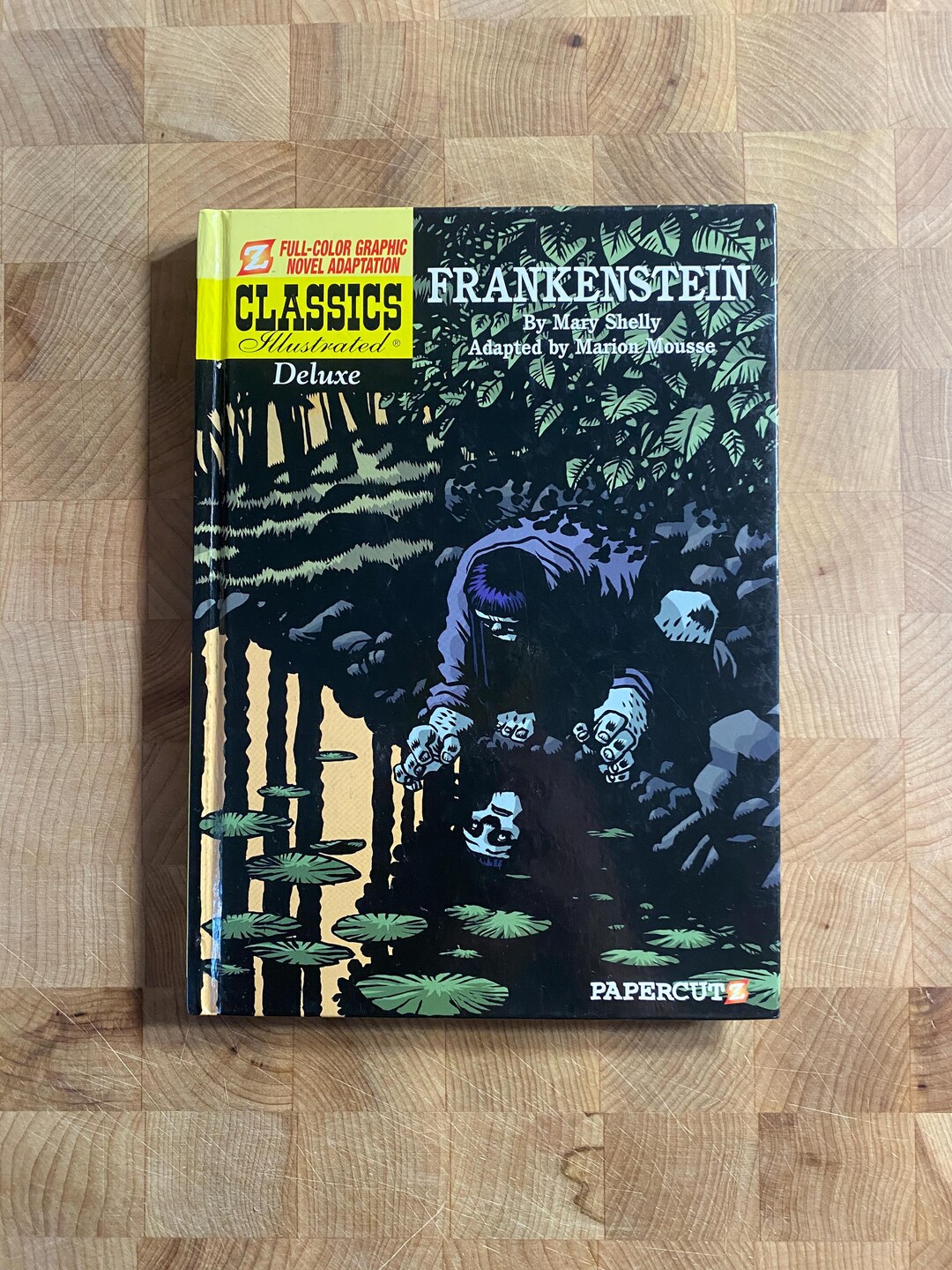 Frankenstein by Mary Shelly Adapted by Marion Mousse Hardcover Graphic ...