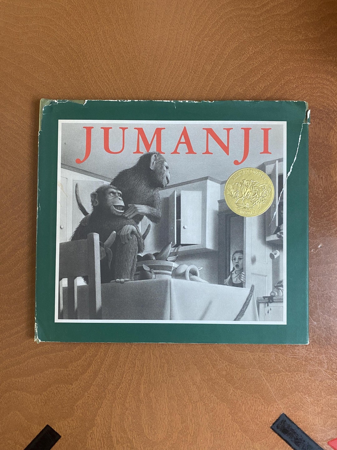 Jumanji by Chris Van Allsburg Retro Cloth Hardcover Edition - Etsy