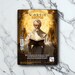 Academy Rector - Retro Futuristic / Vintage - Full Art Holographic ...