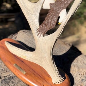 Majestic American Bald Eagle - Handcrafted Moose Antler Sculpture on ...