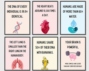 Funny Biology Posters Set of 6, Science Puns, Science Classroom Decor ...