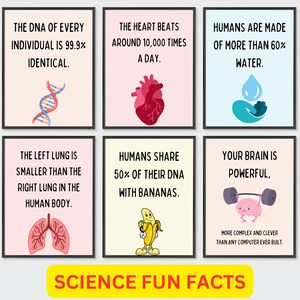 30 Science Classroom Posters Bundle, Educational Posters, Science ...