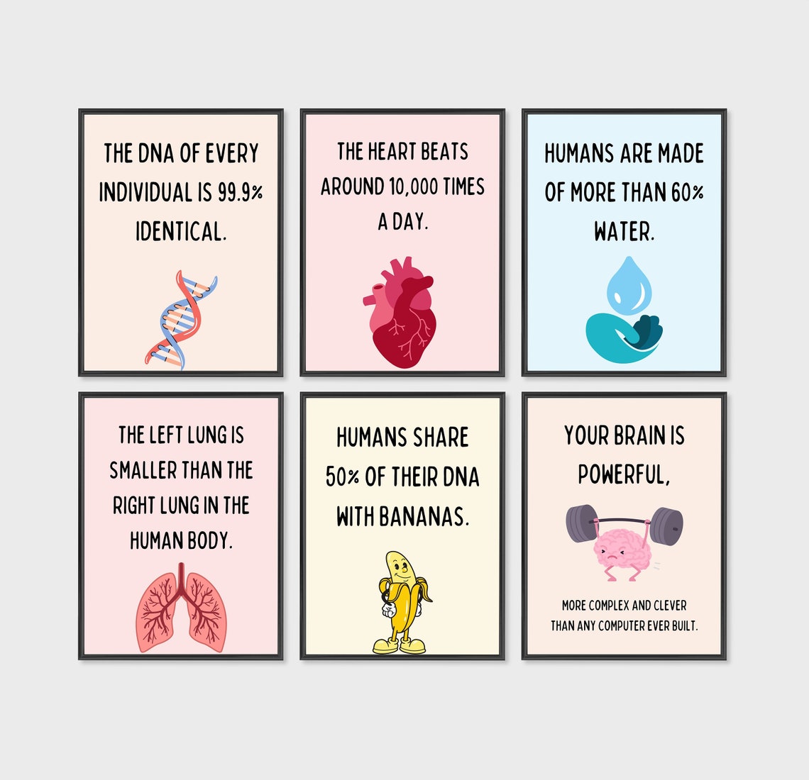 Fun Facts Science Posters Set of 6, Science Classroom Posters, Science ...