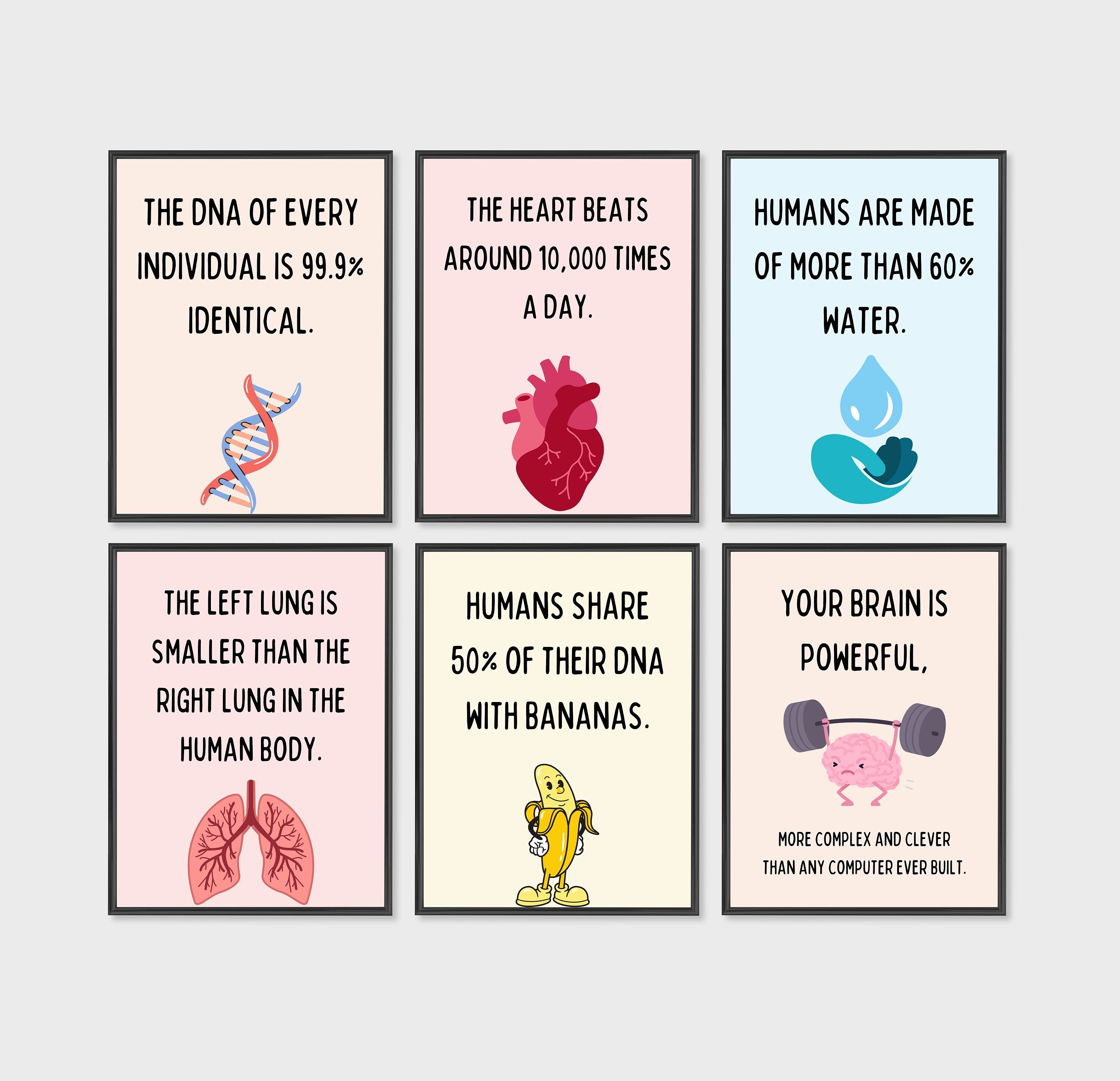 Fun Facts Science Posters Set of 6, Science Classroom Posters, Science ...